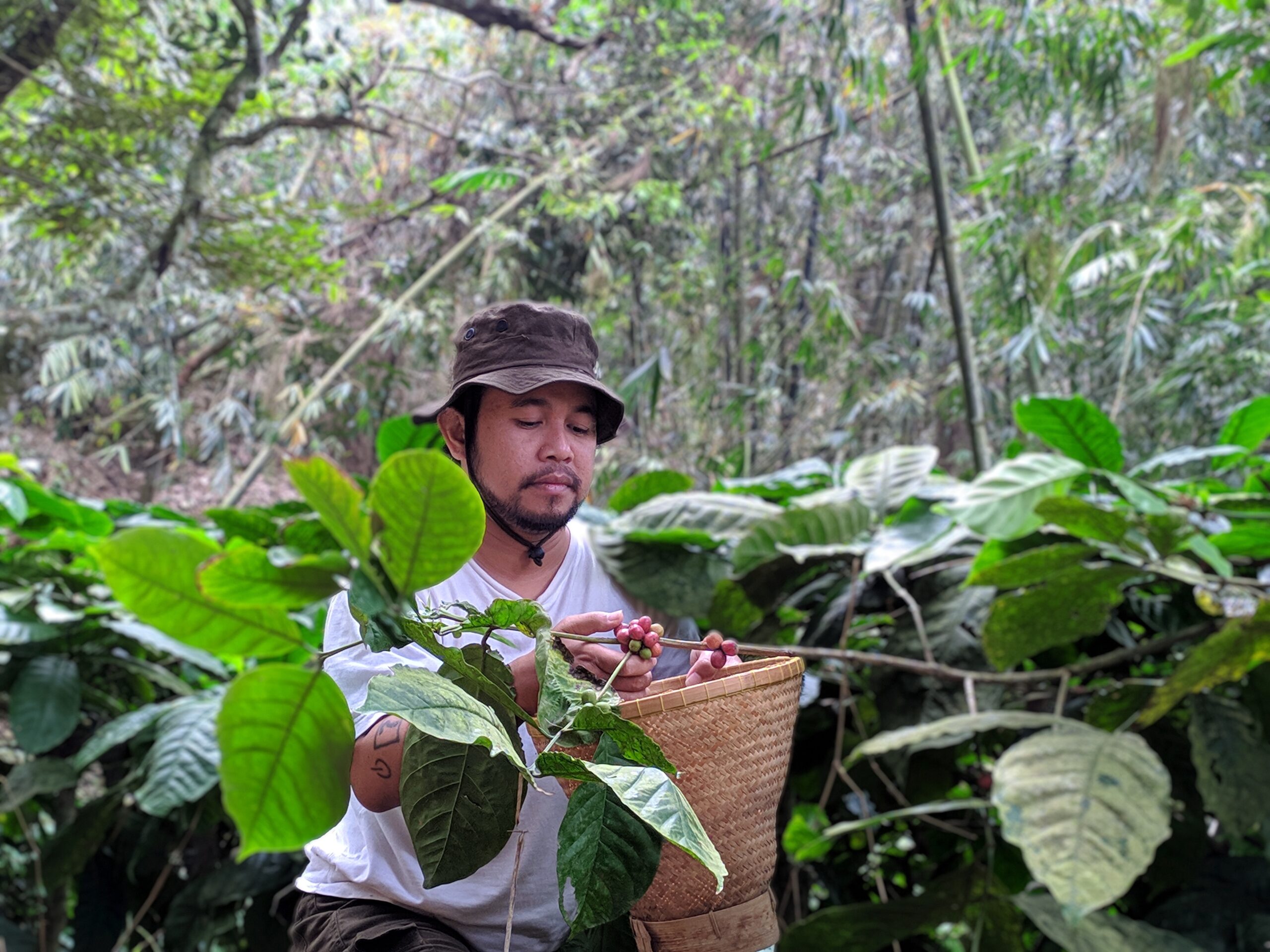 Wiwit Kopi - Desa Wisata Japan